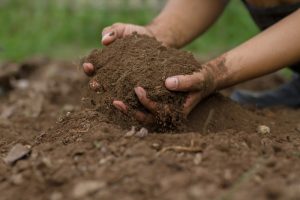 17 Easy Ways for Prevention of Soil Pollution - Green Coast